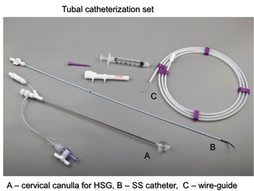 Tubal catheterization (TC): indications and techniques. Part I