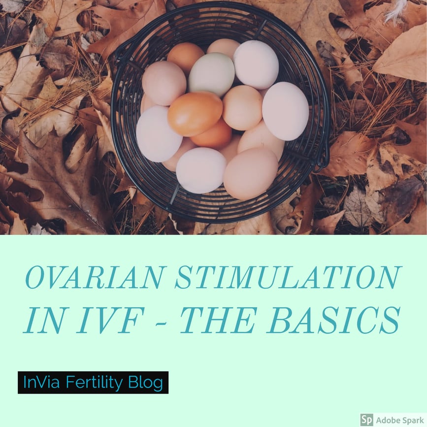 The IVF Process: Ovarian Stimulation Basics