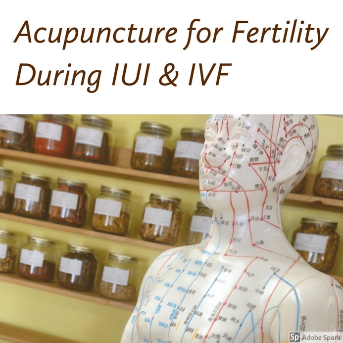 Acupuncture for Fertility during IUI/IVF