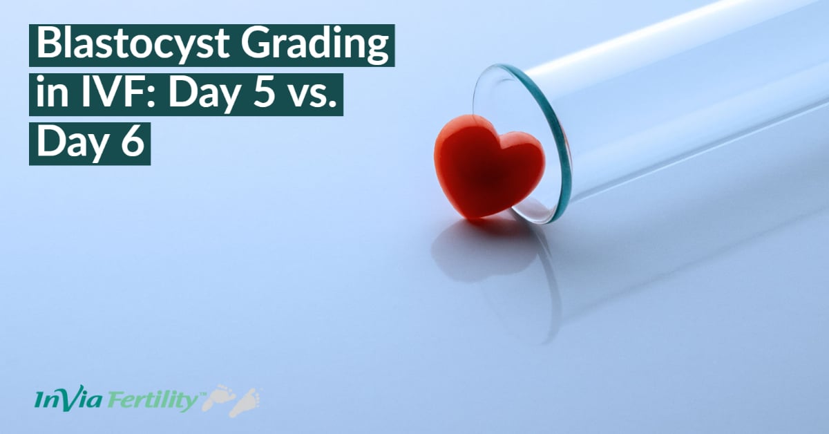 Fifth vs Sixth Day Blastocyst Grading